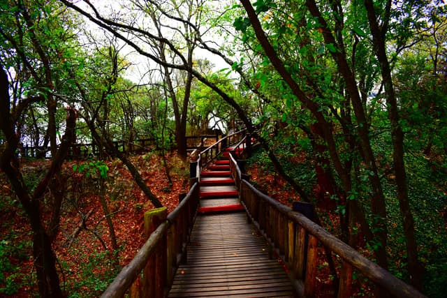 Reserva Natural Chipinque en San Pedro Garza García | Ubicación y Detalles
